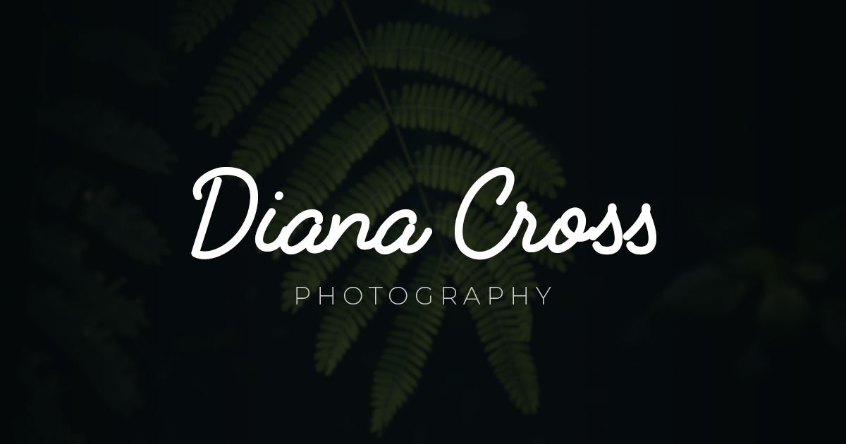 9 Free Signature Fonts for Logos and Branding