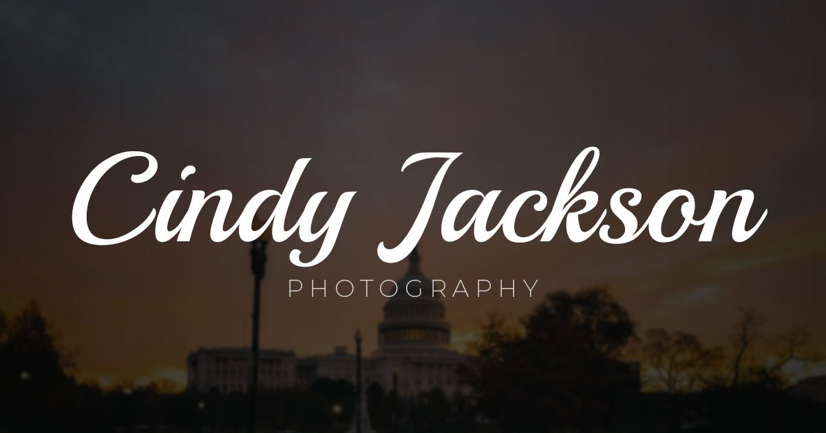 9 Free Signature Fonts for Logos and Branding